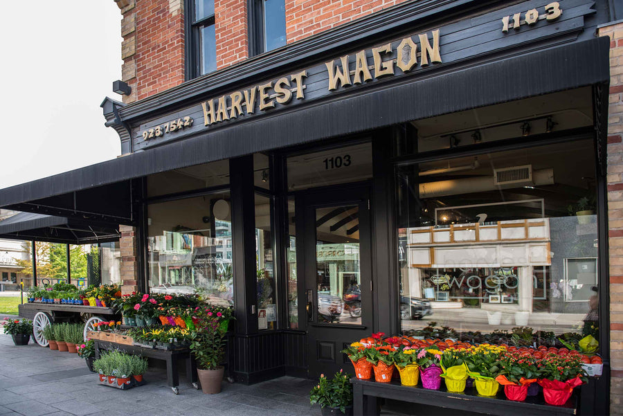 El Rudo News – El Rudo Gourmet